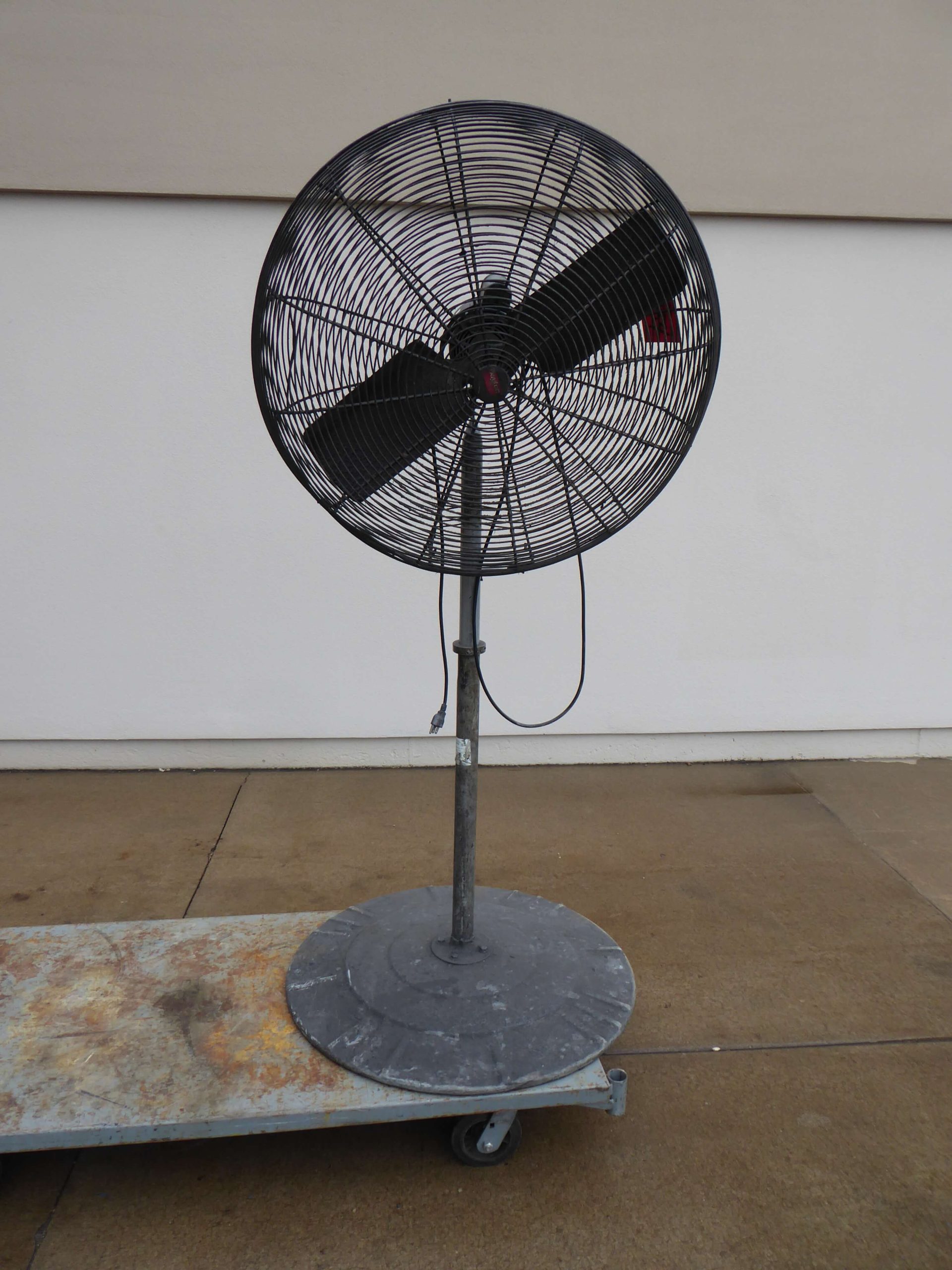 Dayton Adjustable Pedestal Fan M3954 - Lanco Corporation | Used ...